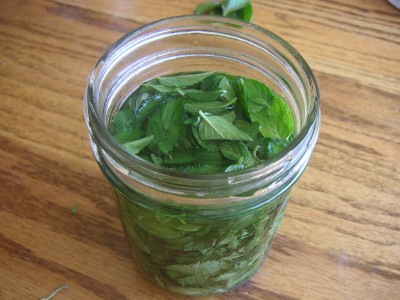 How to Make Peppermint Extract - Whole Natural Life