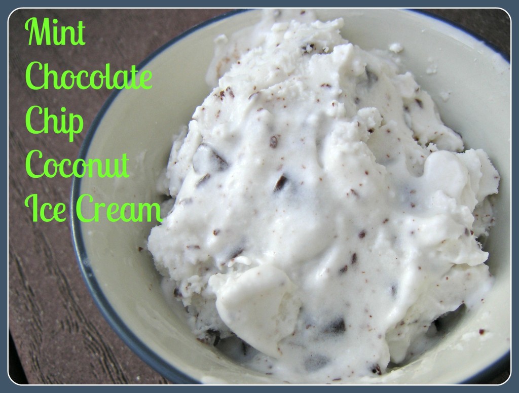 KONICA MINOLTA DIGITAL CAMERA - Whole Natural Life